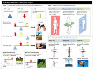 Knowledge Organiser - GCSE PE - Movement analysis – PE Resources Bank