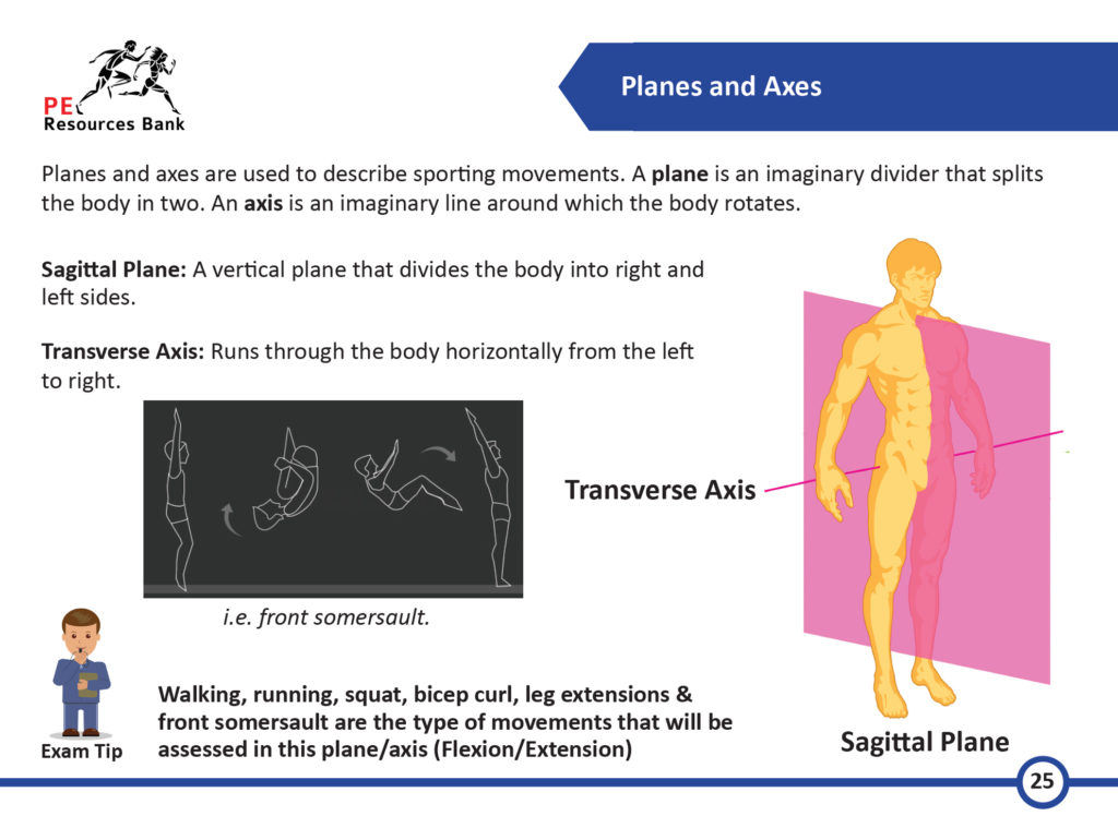 GCSE PE Revision Flash Cards - AQA (9-1) Teachers and Students.