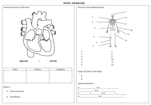 GCSE PE Retrieval Sheets - Revision