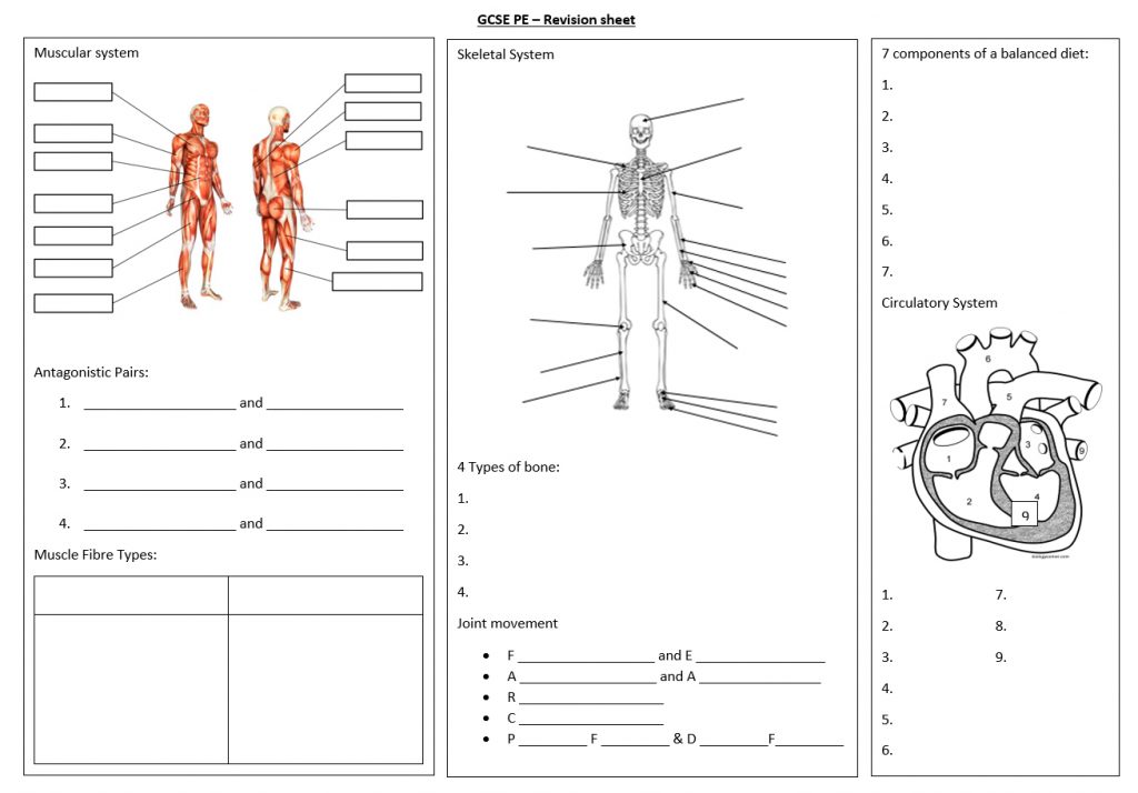 GCSE PE Retrieval Sheets - Revision