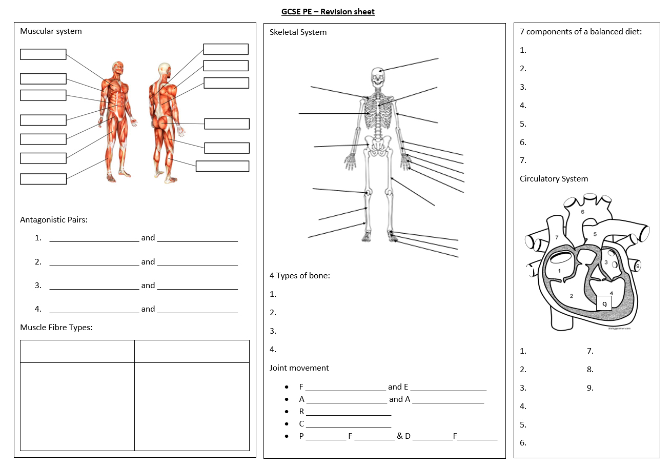 Gcse Pe Retrieval Sheets Revision