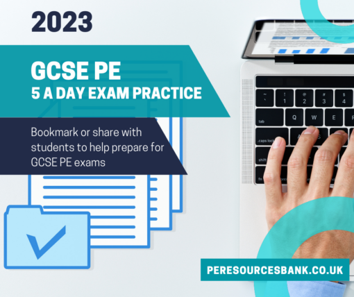 New Specification GCSE PE Muscular System - Powerpoint - Worksheet ... New Specification GCSE PE Muscular System - Powerpoint - Worksheet ...